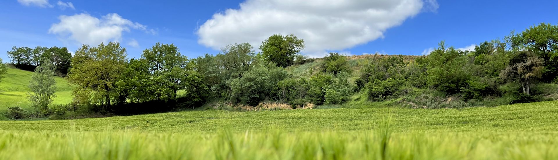 Urbanisme & Environnement - Mairie de Baziège
